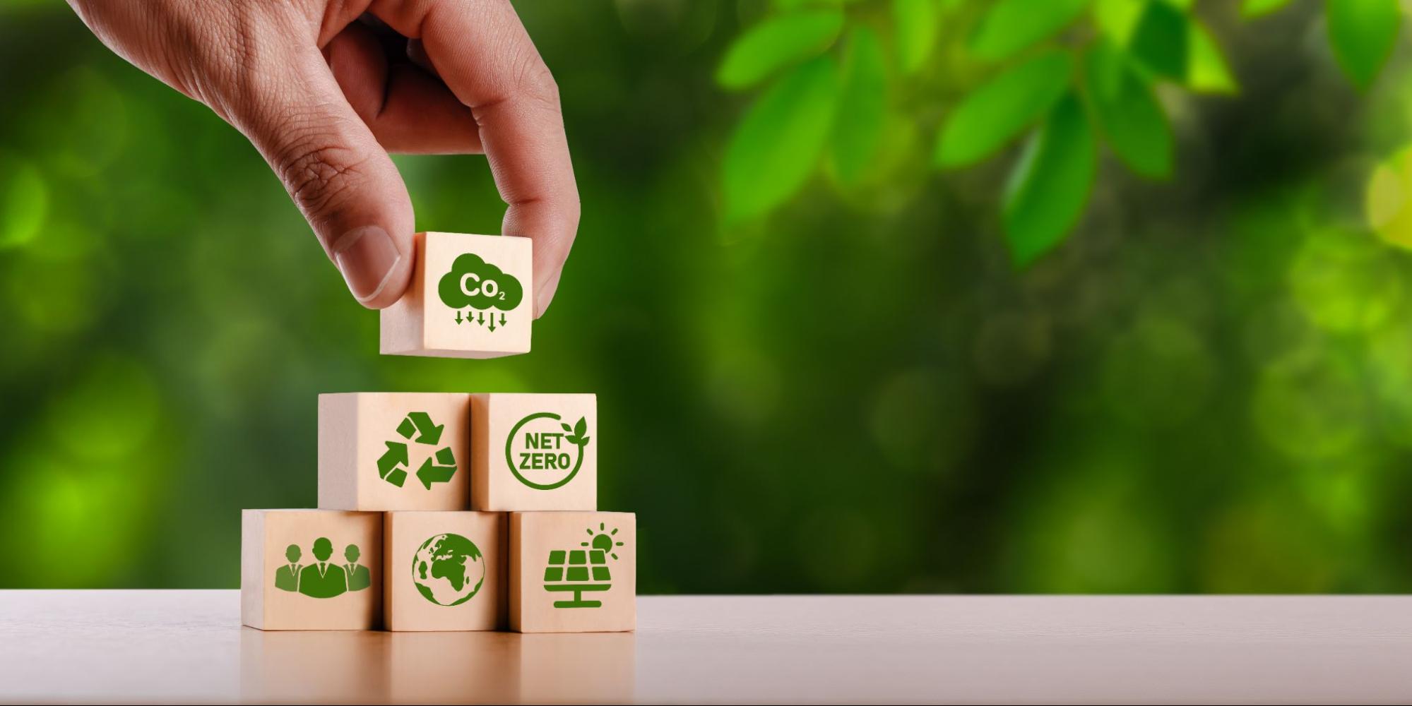 ¿Cómo reducir la huella de carbono y cuáles son sus beneficios?