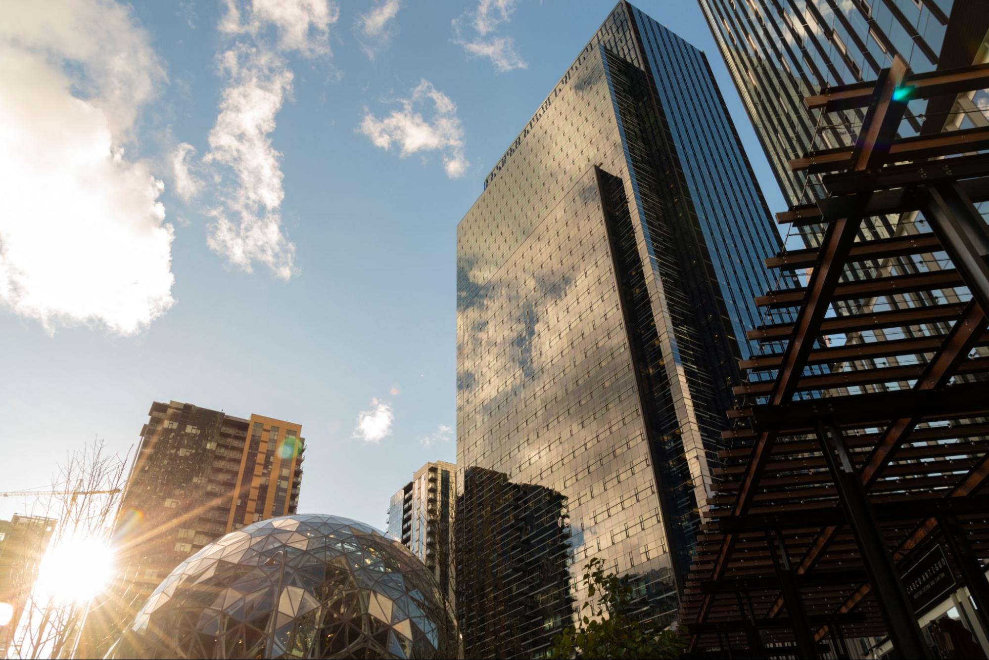 Sostenibilidad ambiental en las empresas: importancia y medidas para conseguirla